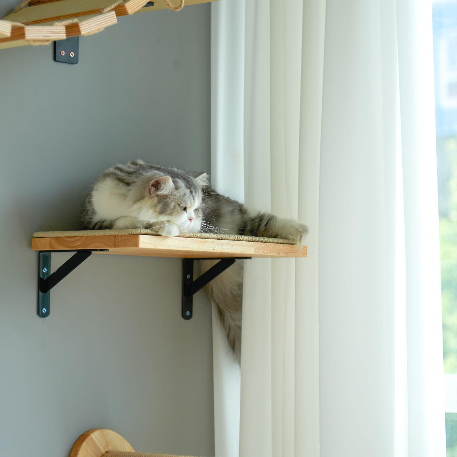 Tucker Murphy Pet™ 16x10 Inch Rubber Wood Floating Shelf with Sisal Mat ...