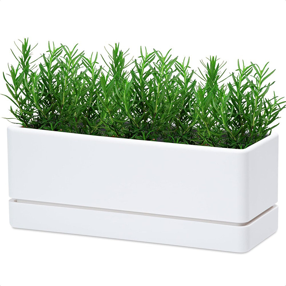 Ebern Designs 12 Inch Window Box Planter, Rectangle Plastic Herb Pl ...