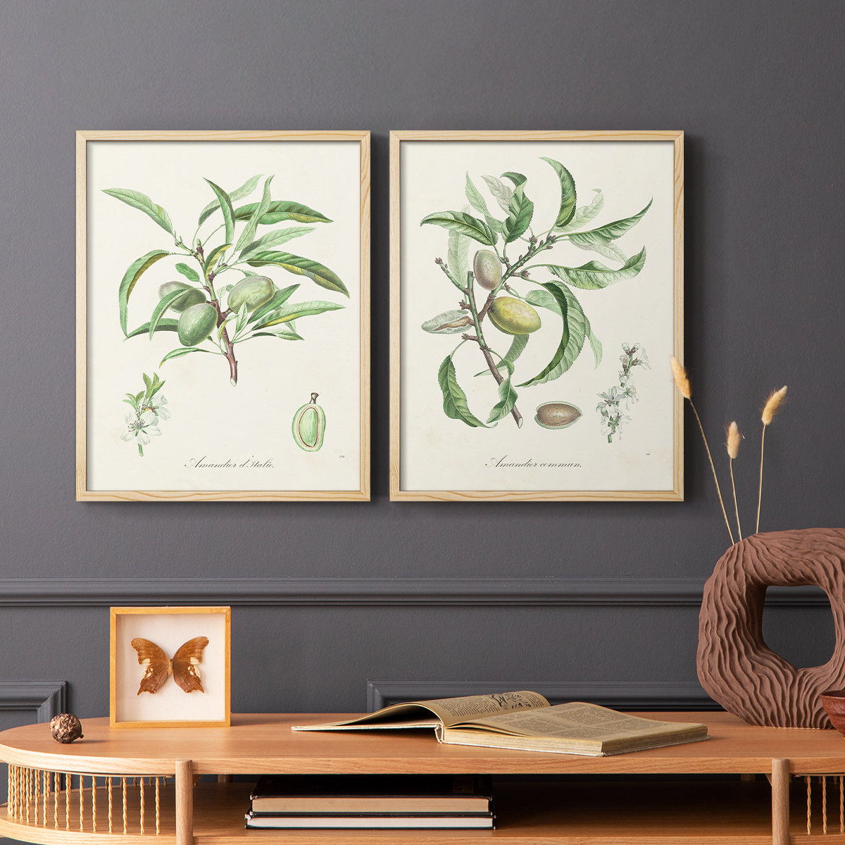 Lark Manor Antique Ammond Botanical III - reproduction encadrée de qualité supérieure - prête à ...