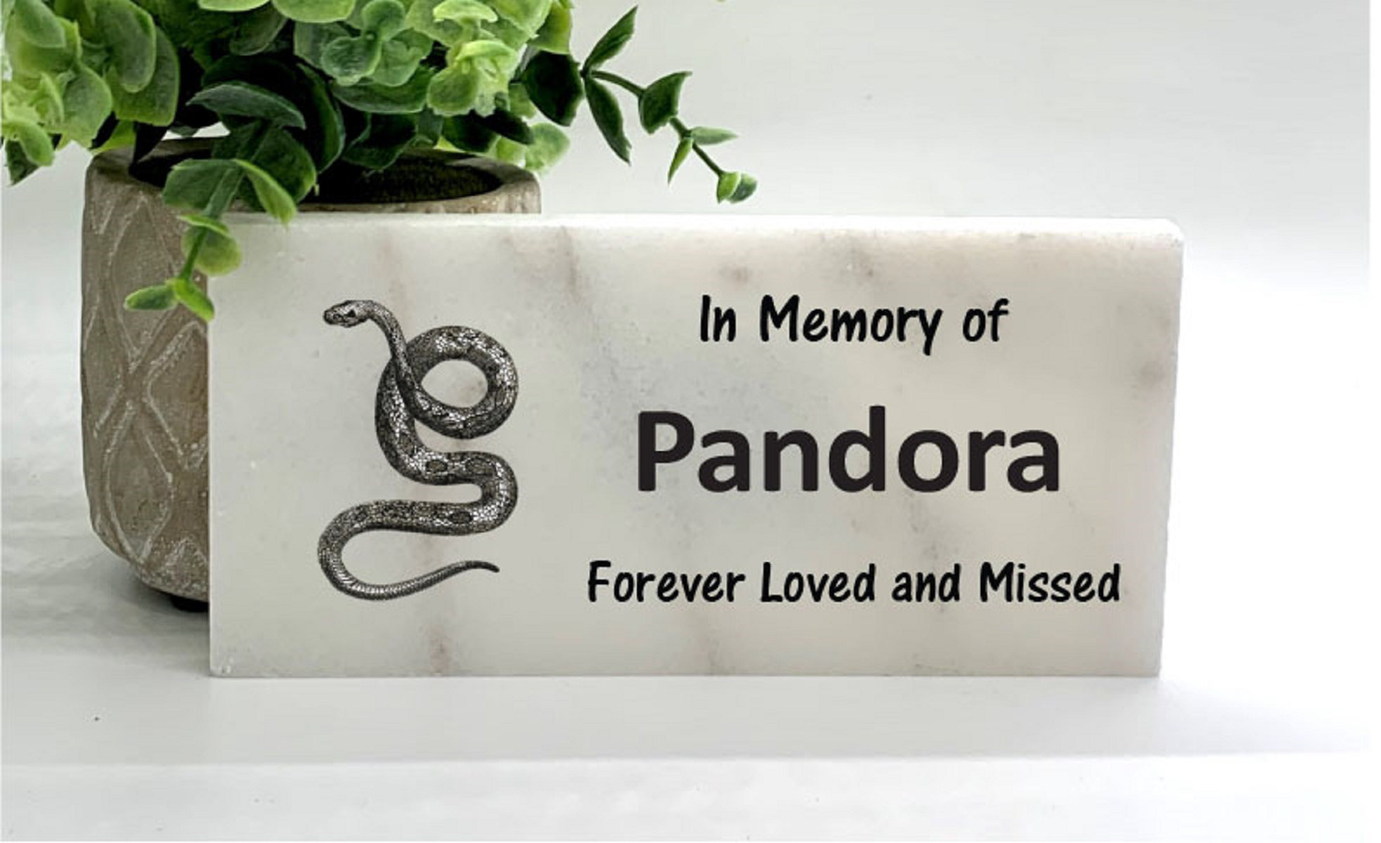 Red Barrel Studio® Snake Memorial Plaque/Stone | Wayfair