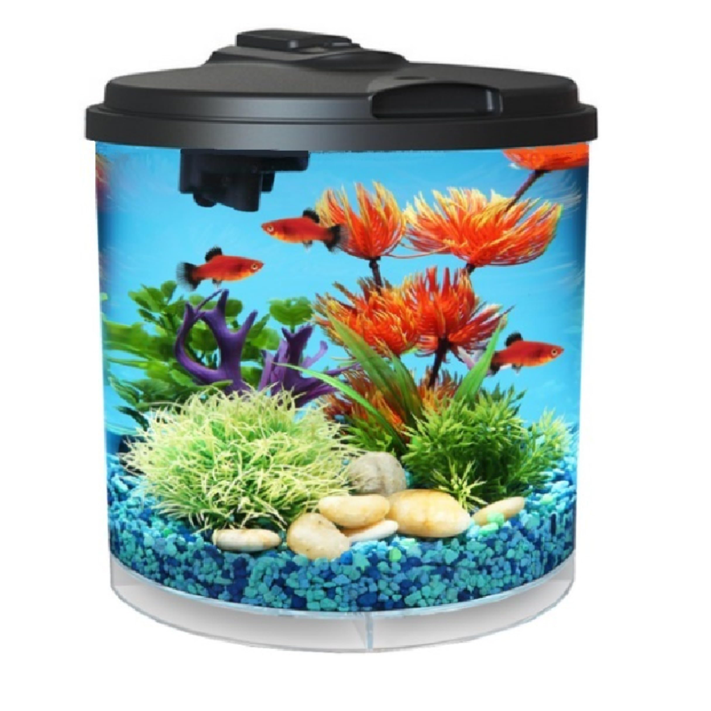 Ebern Designs Aquaview 2-Gallon Plastic 360 Aquarium With Power Filter ...