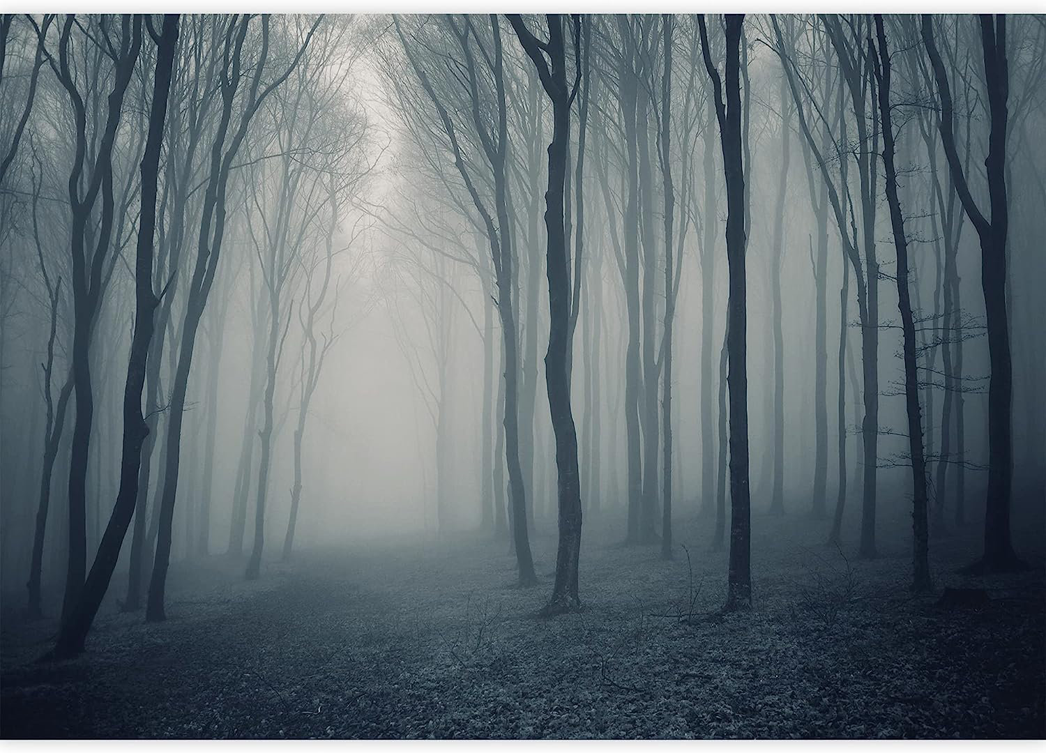 IDEA4WALL The Misty Dark Forest Wall Mural | Wayfair
