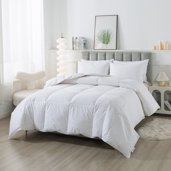 Alwyn Home 600in³/oz Fill Power All Season Down Comforter | Wayfair