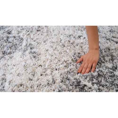 Brayden Studio® Shag Ridley Grey/Beige Rug & Reviews | Wayfair