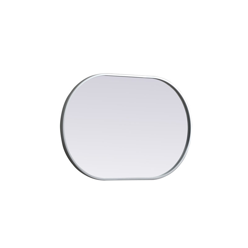 RE/FINE™ Sabine Metal Pill Wall Mirror & Reviews | Wayfair