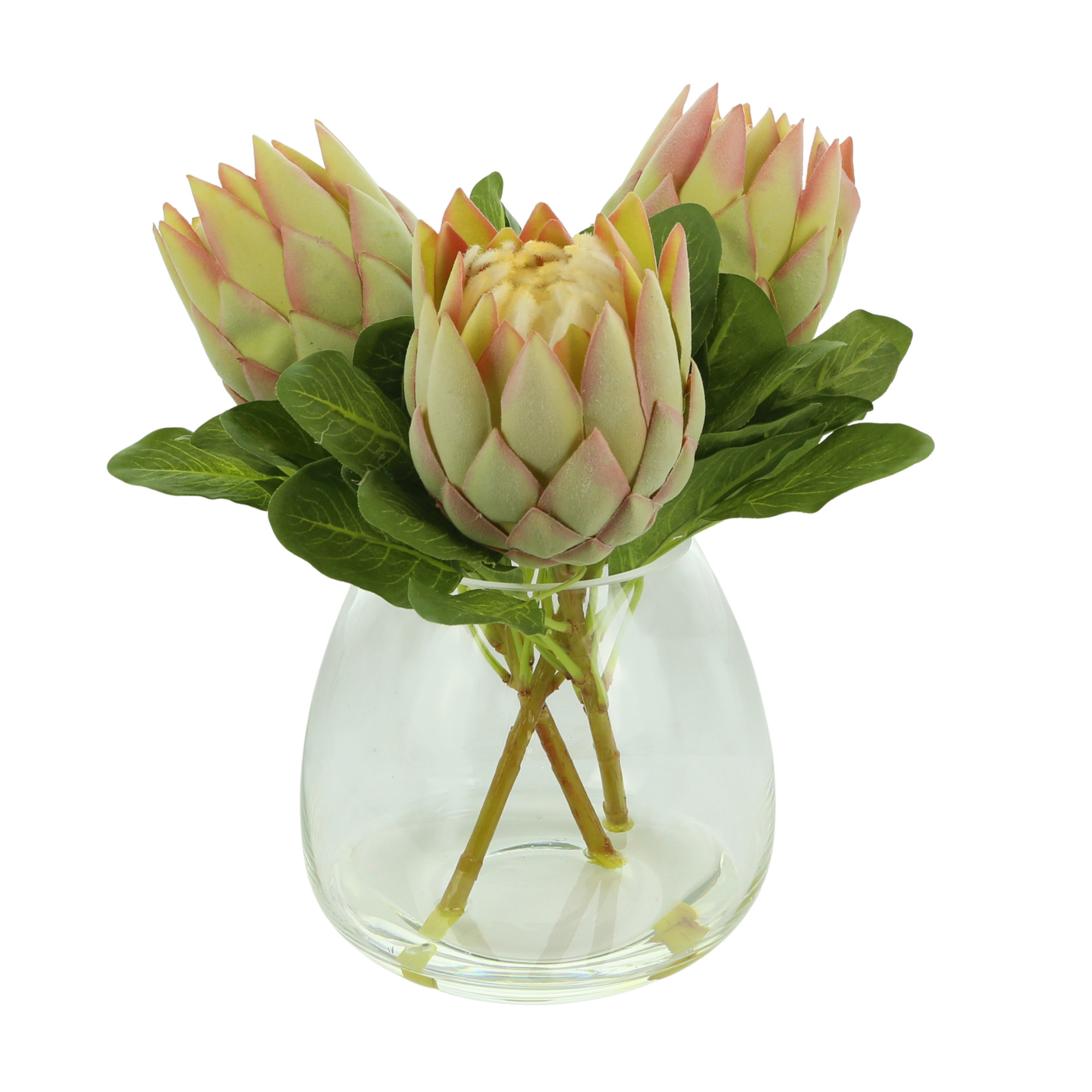 Creative Displays, Inc. Protea Sprays in Glass Vase with Acrylic Water ...