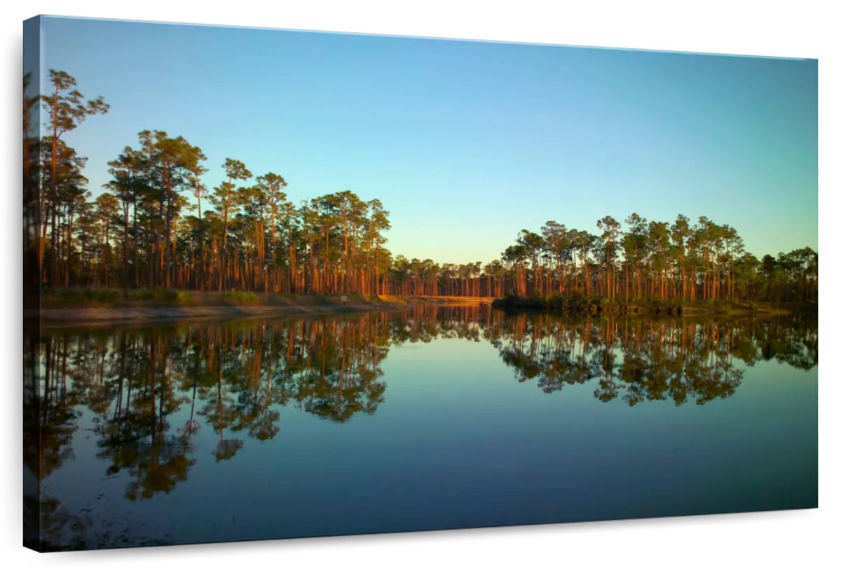 Millwood Pines Alvord Long Pine Key | Wayfair