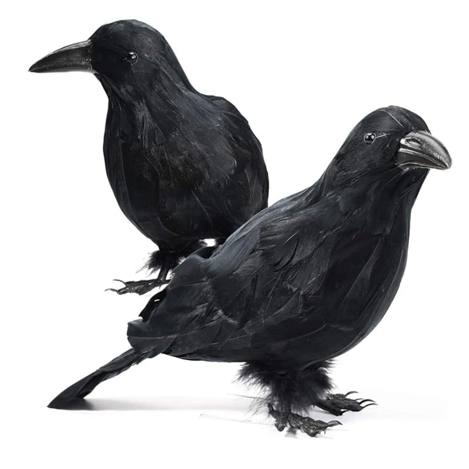 Ophelia & Co. 2 PCS Realistic Black Crows for Halloween. | Wayfair