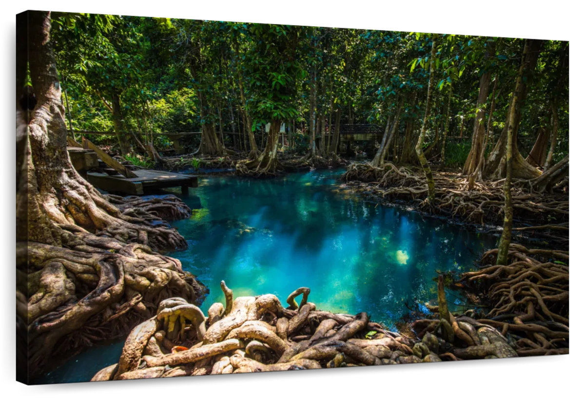 Millwood Pines Alvord Tha Pom Lagoon - Wayfair Canada