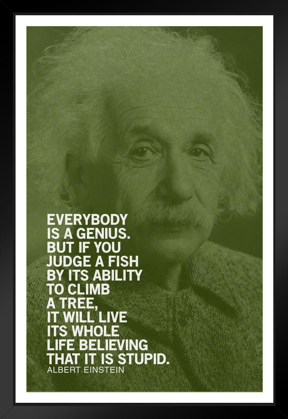Trinx " Albert Einstein Everybody Is A Genius Motivational Green Quote ...