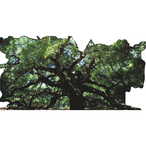 Wet Paint Printing SP13160 Angel Oak Southern Live Oak Cardboard Cutout ...