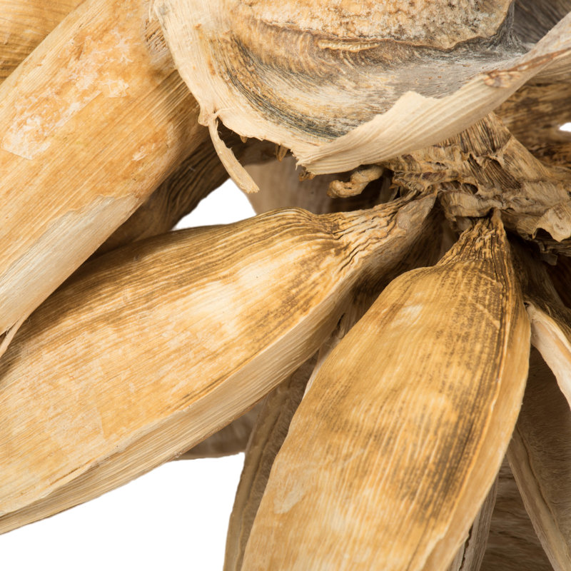 Primrue 12-16" Bleached Star Pod, Extra Large "& Reviews" | Wayfair