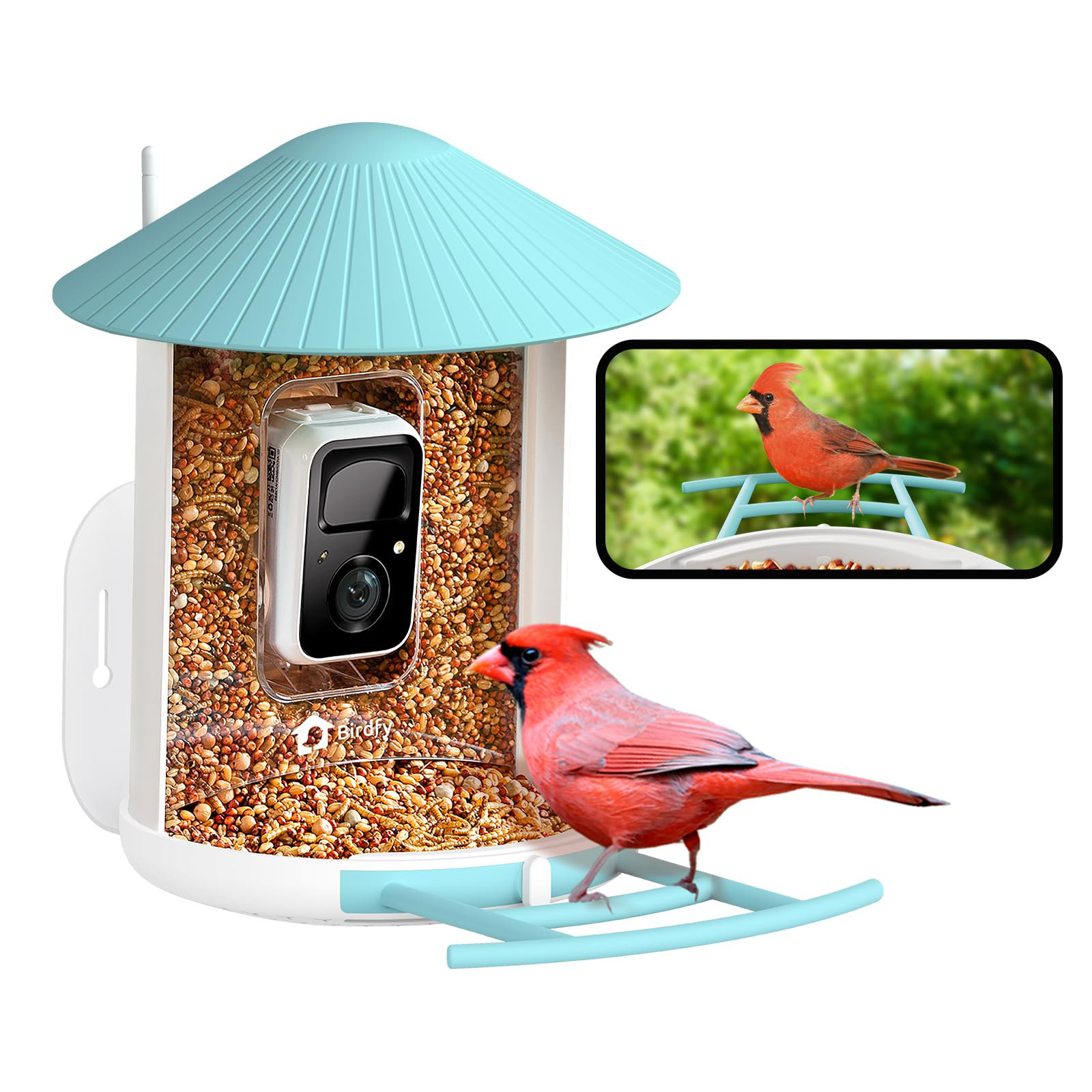 Birdfy Smart Bird Feeder with Camera, Bird Watching Camera, Auto ...