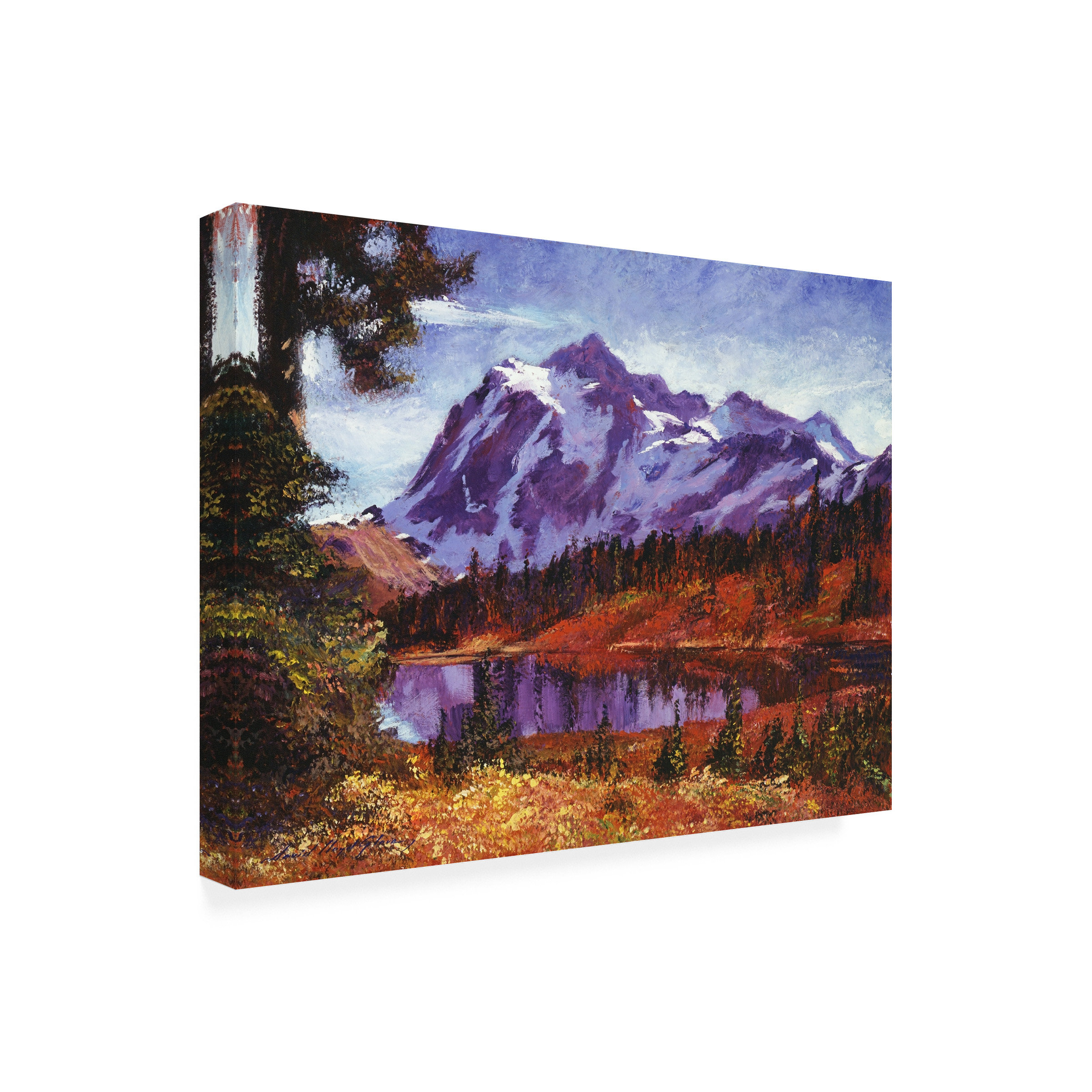 Millwood Pines All-Weather Canvas Landscape & Nature Wall Decor | Wayfair