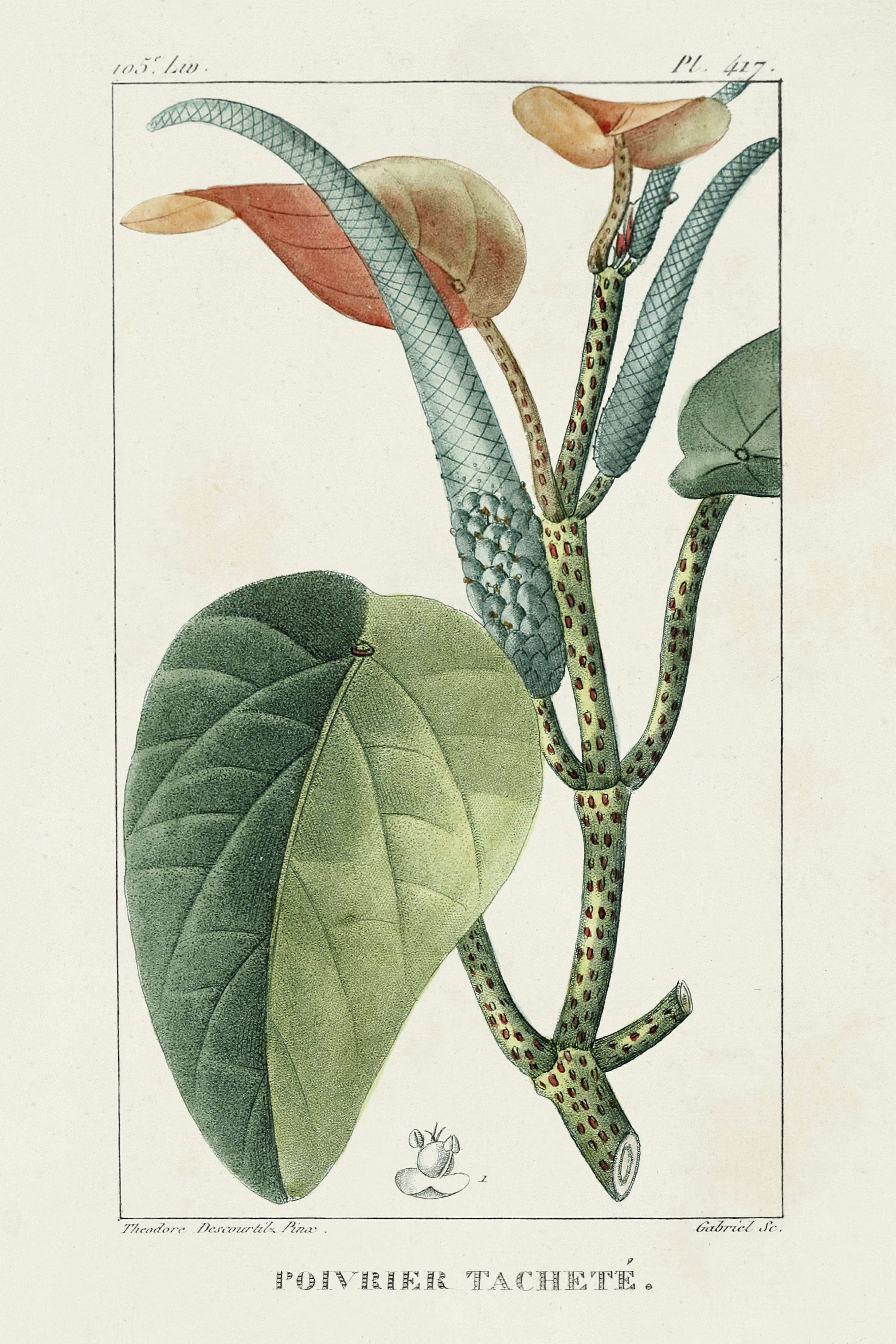 Winston Porter Turpin Tropical Botanicals II by Turpin - Wrapped Canvas ...