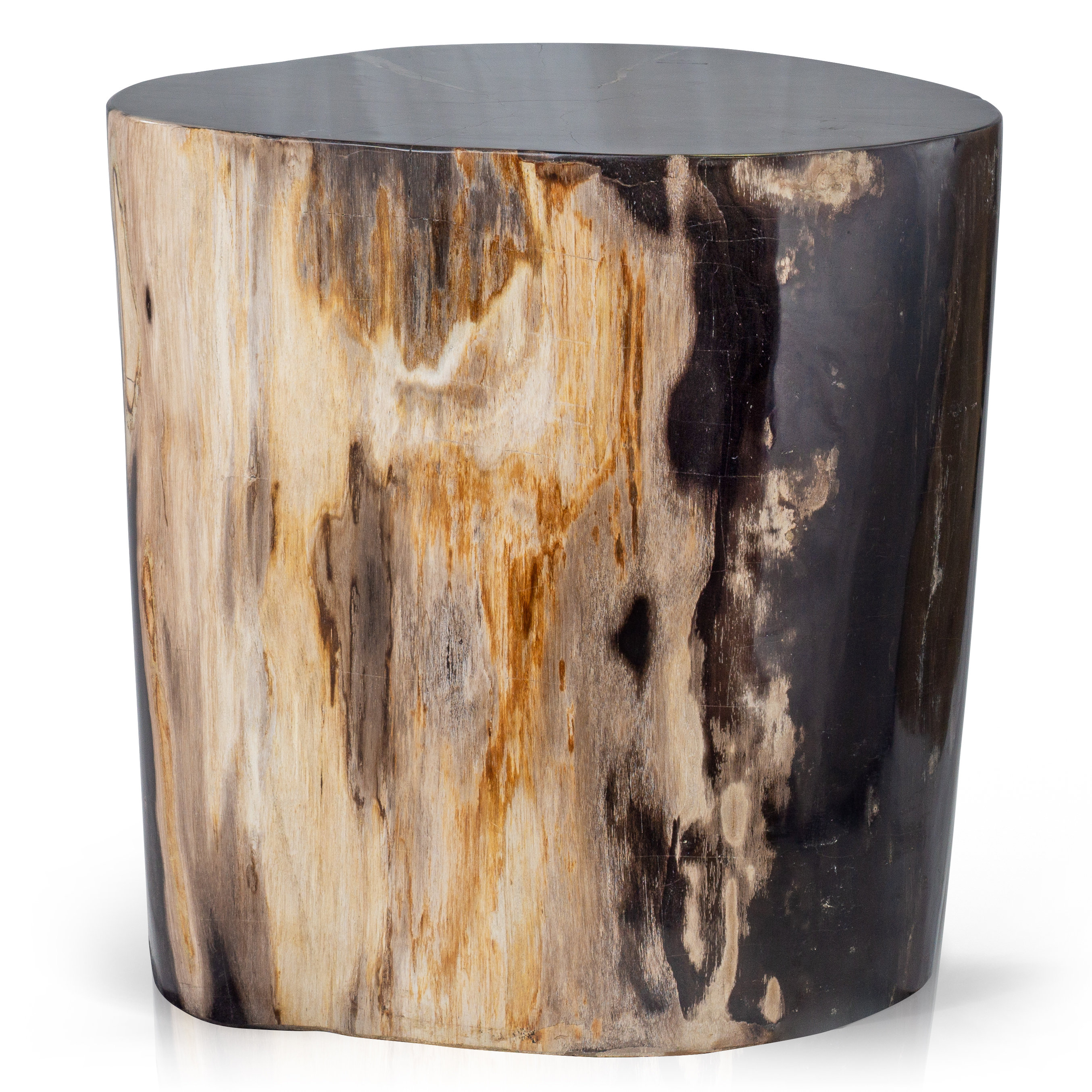 Daribali Design Fossil Relics End Table | Wayfair
