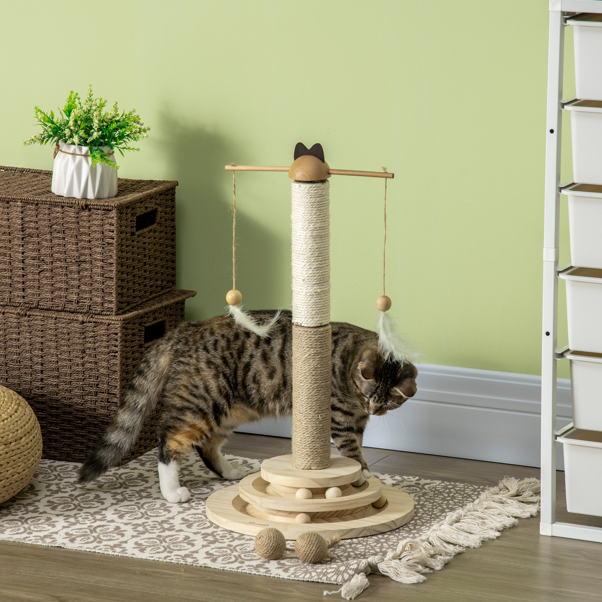 Archie & Oscar Crosby Scratching Post & Reviews | Wayfair.co.uk