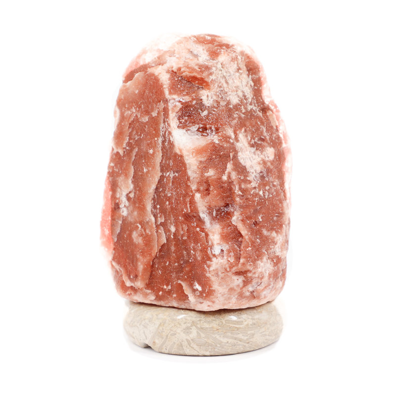 Dakota Fields Natural Dark Red Salt Lamp | Wayfair