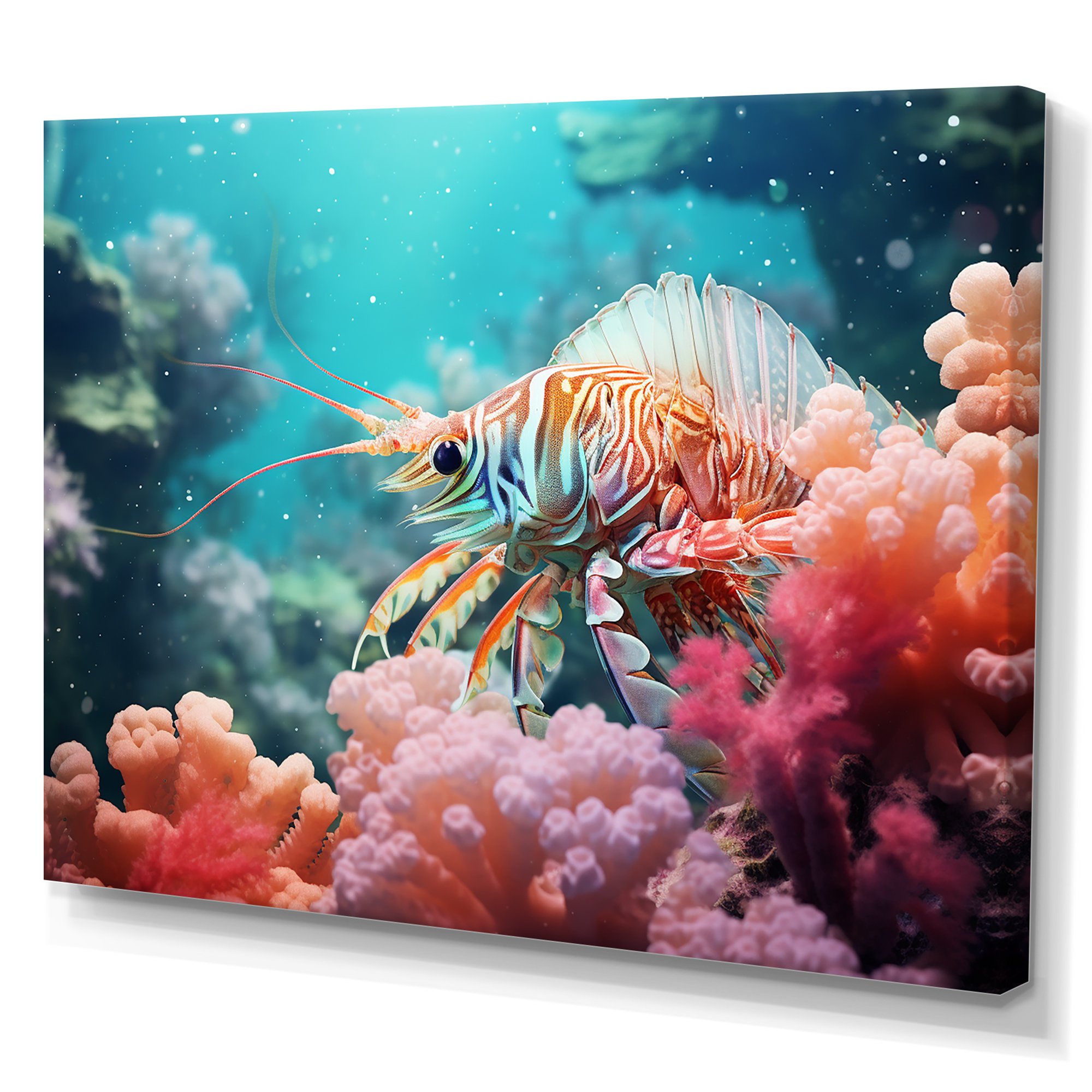 Highland Dunes Mantis Shrimp Dance I Framed On Canvas Print | Wayfair