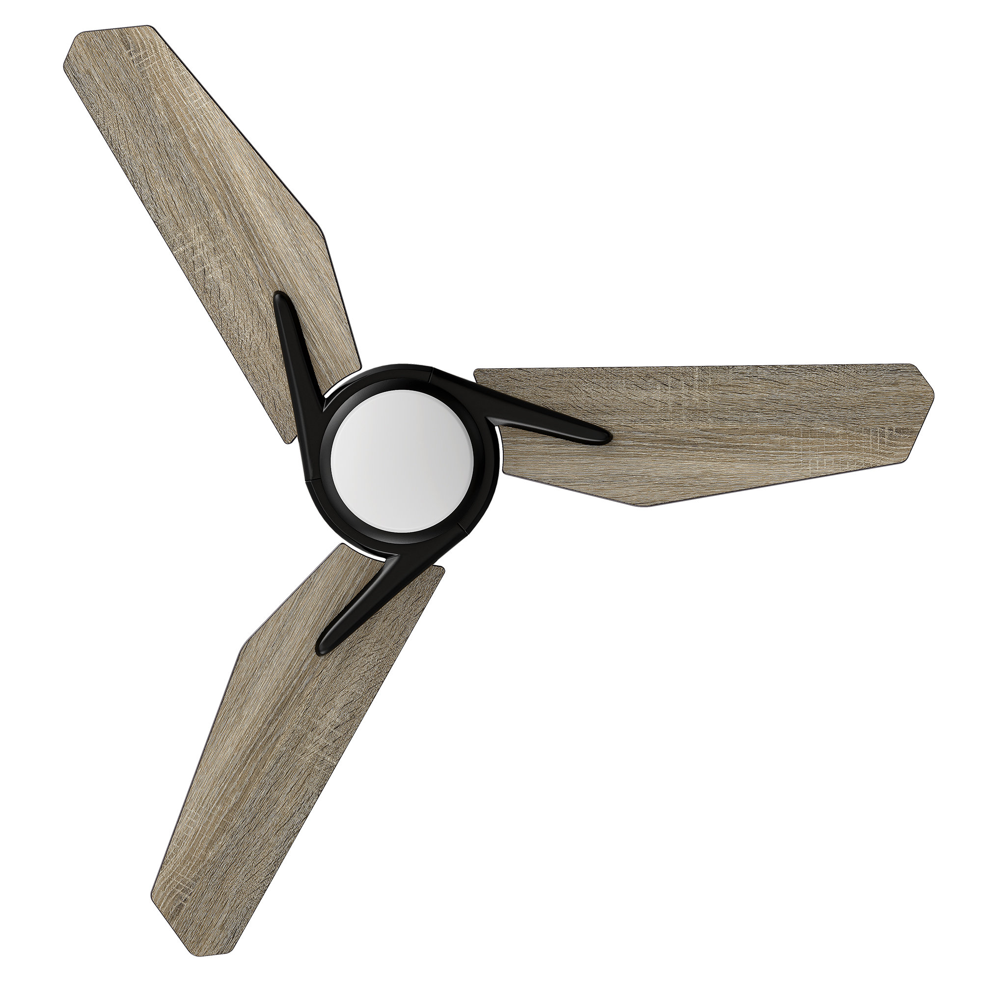 CARRO 44'' Ceiling Fan with LED Lights & Reviews | Wayfair