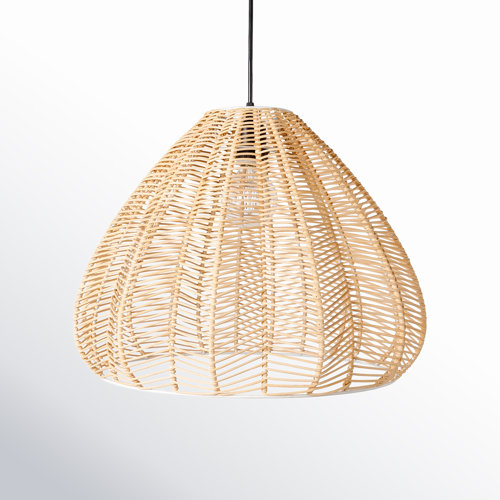 Rattan / Rope Pendant Lighting | Joss & Main