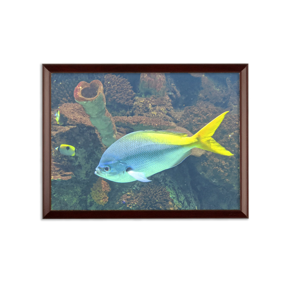 Highland Dunes Fish Sublimation Wall Décor - Wayfair Canada