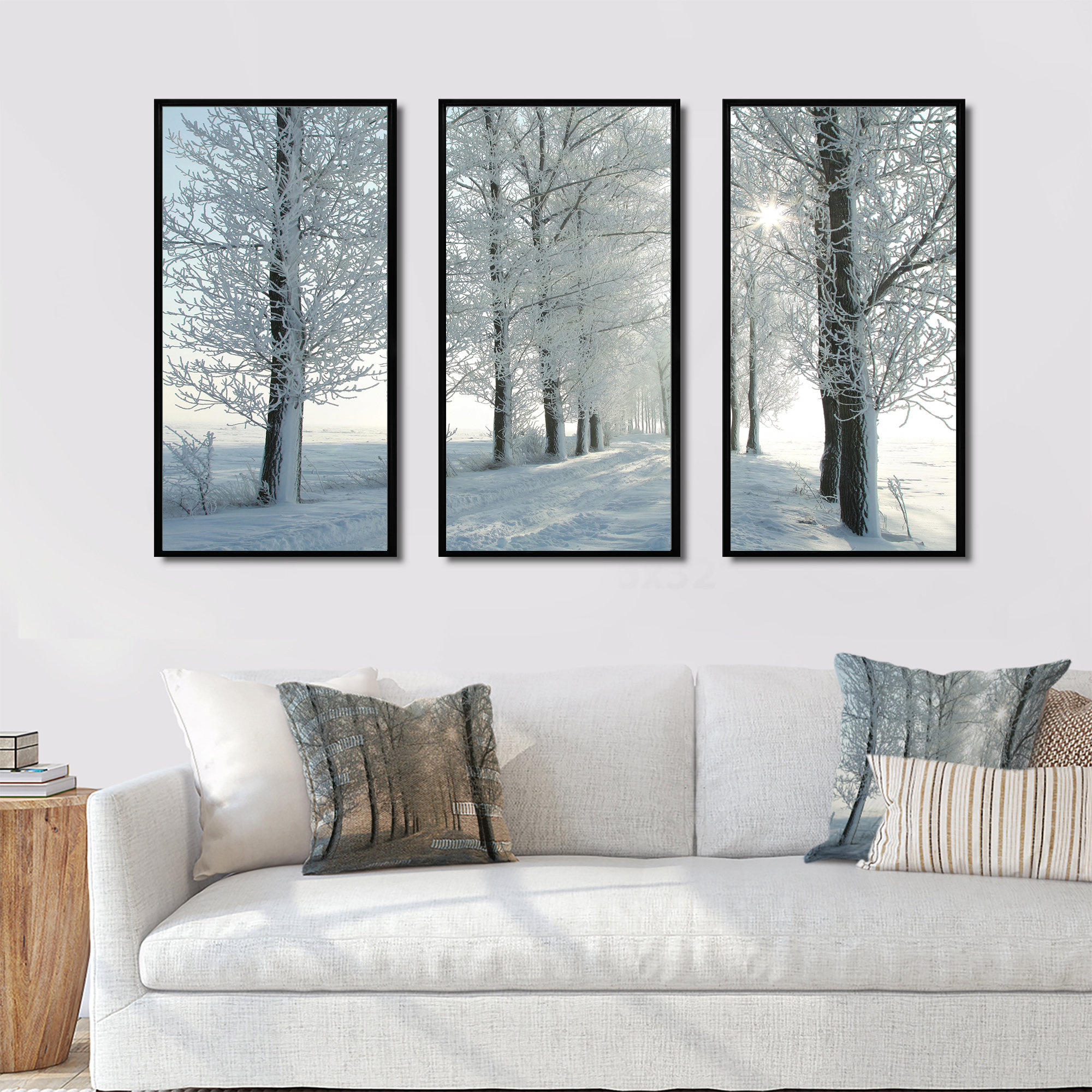 Millwood Pines Winter Trees Backlit By Morning Sun - Forest Framed ...
