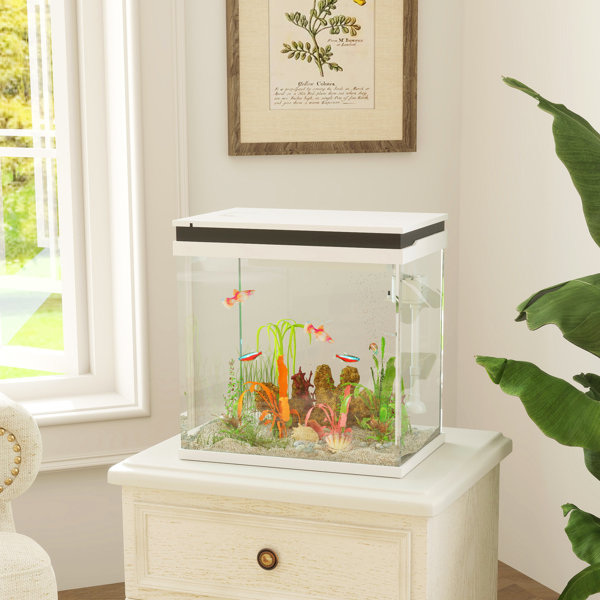 Pawhut Fish Bowl | Wayfair.co.uk