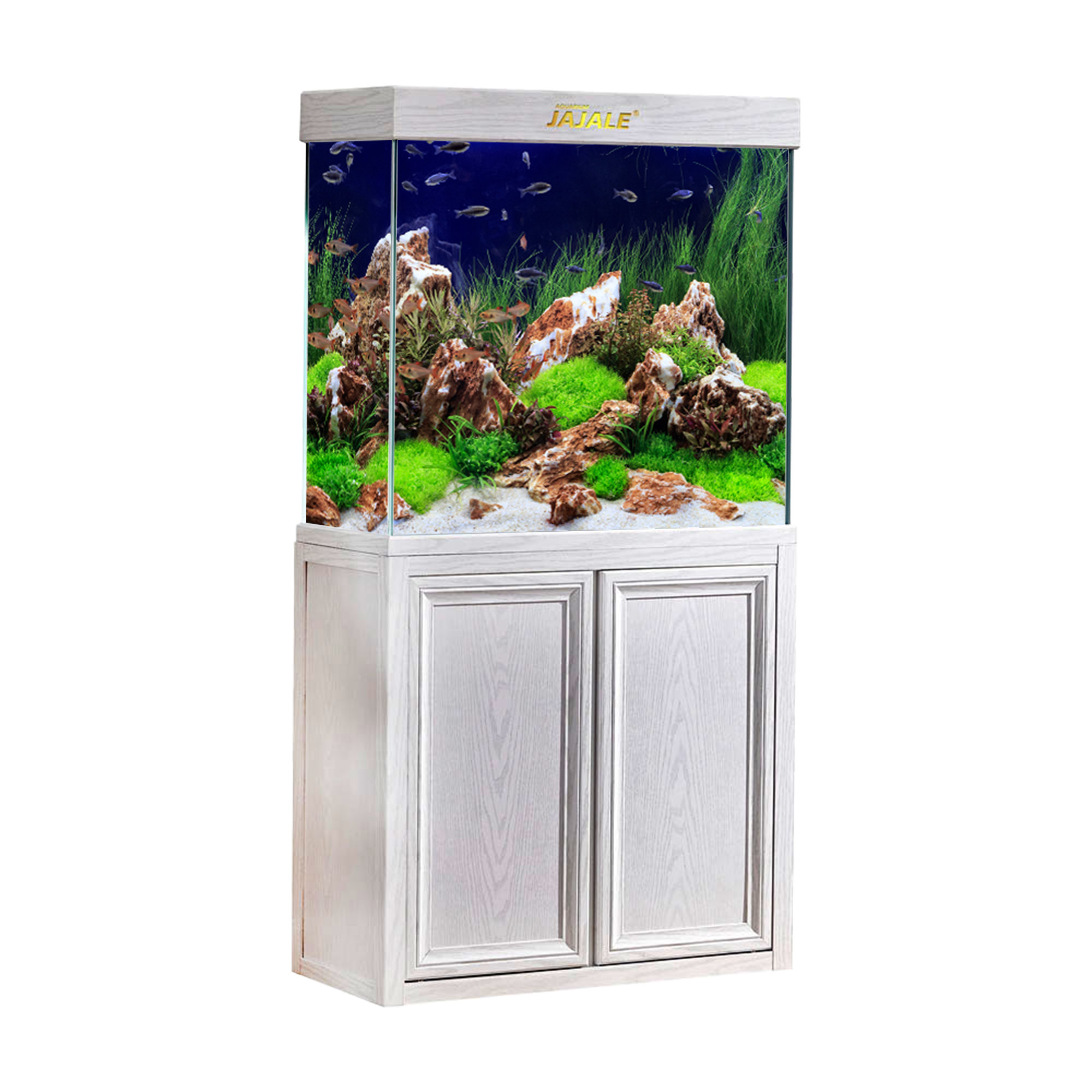 AQUA DREAM 50 Gallons Rectangle Aquarium Tank | Wayfair