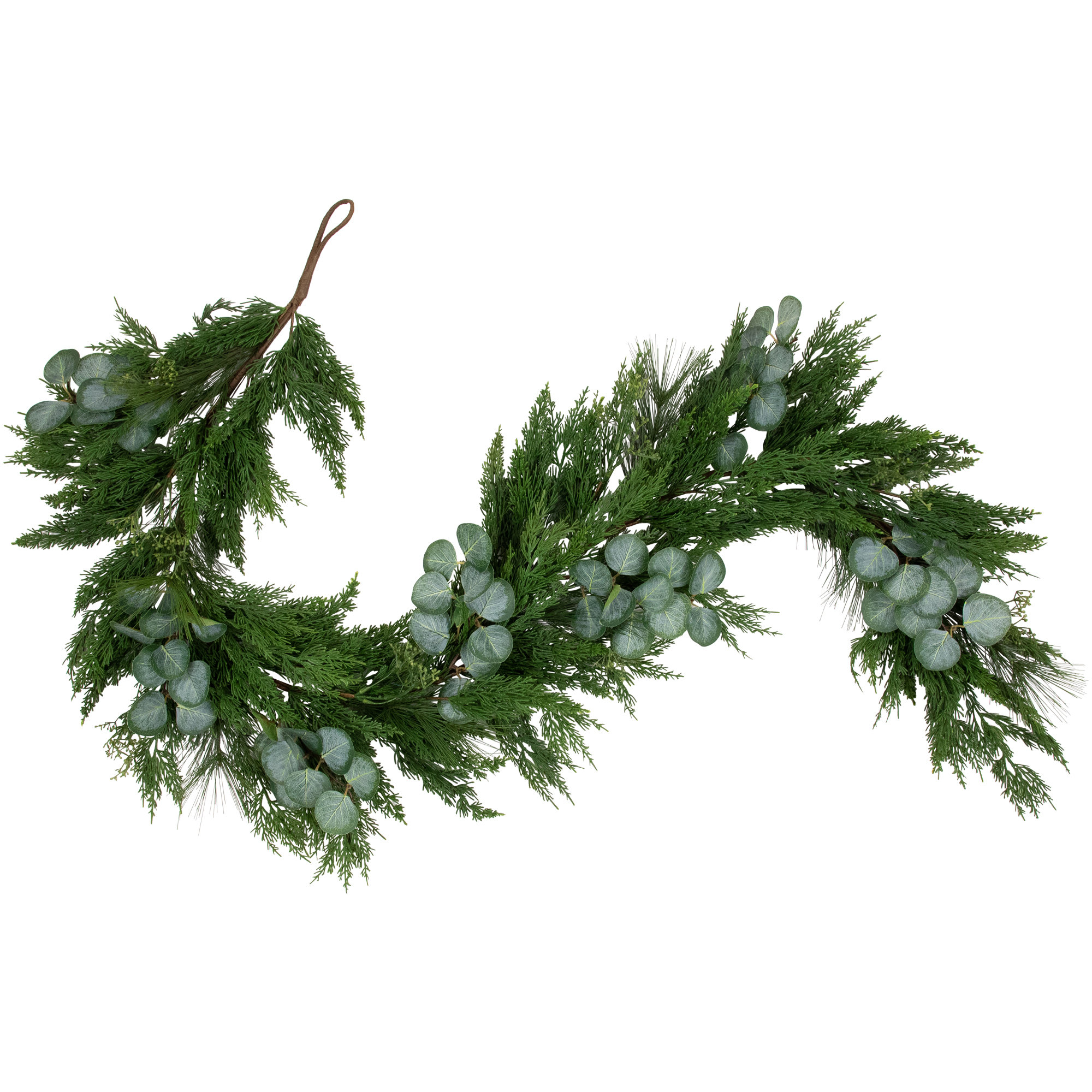 Northlight Seasonal 6' Eucalyptus and Mixed Pine Garland | Wayfair