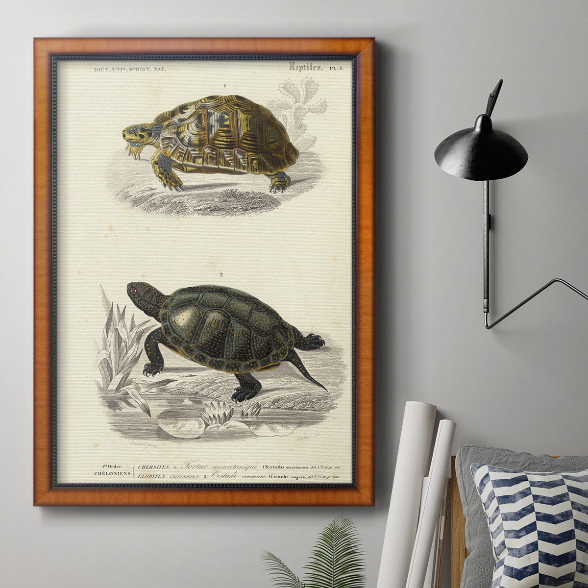 Bayou Breeze Antique Turtle Duo II Premium Framed Canvas- Ready To Hang ...