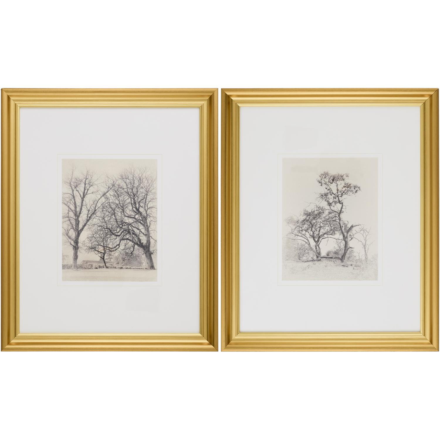 Winston Porter Katine Wall Art (Set of 2) & Reviews | Wayfair