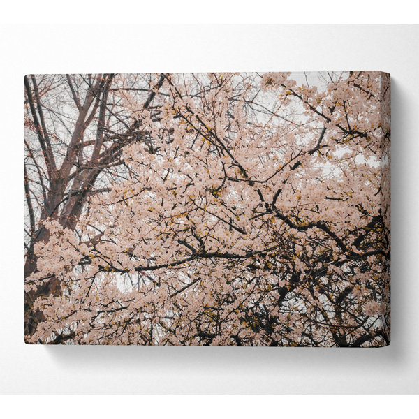 World Menagerie Print | Wayfair.co.uk