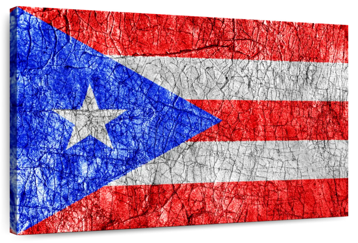 Elephant Stock Textured Puerto Rico Flag | Wayfair