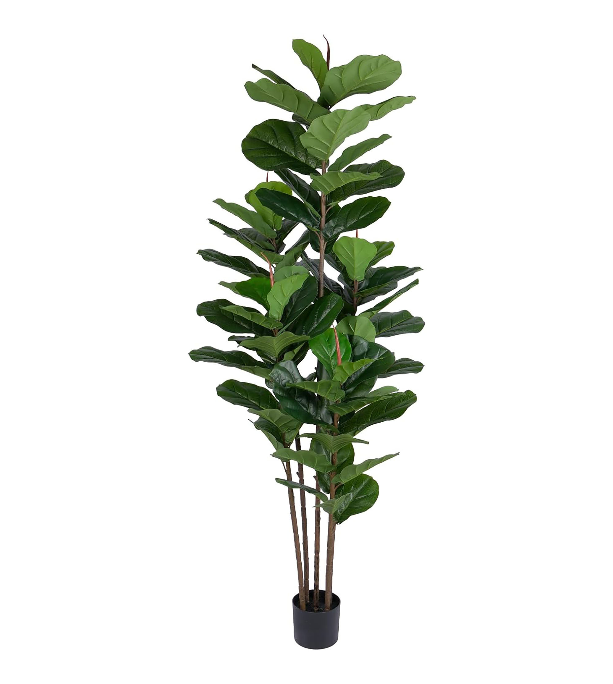 Primrue Faux Fiddle Leaf Fig Tree 6 FT | Wayfair