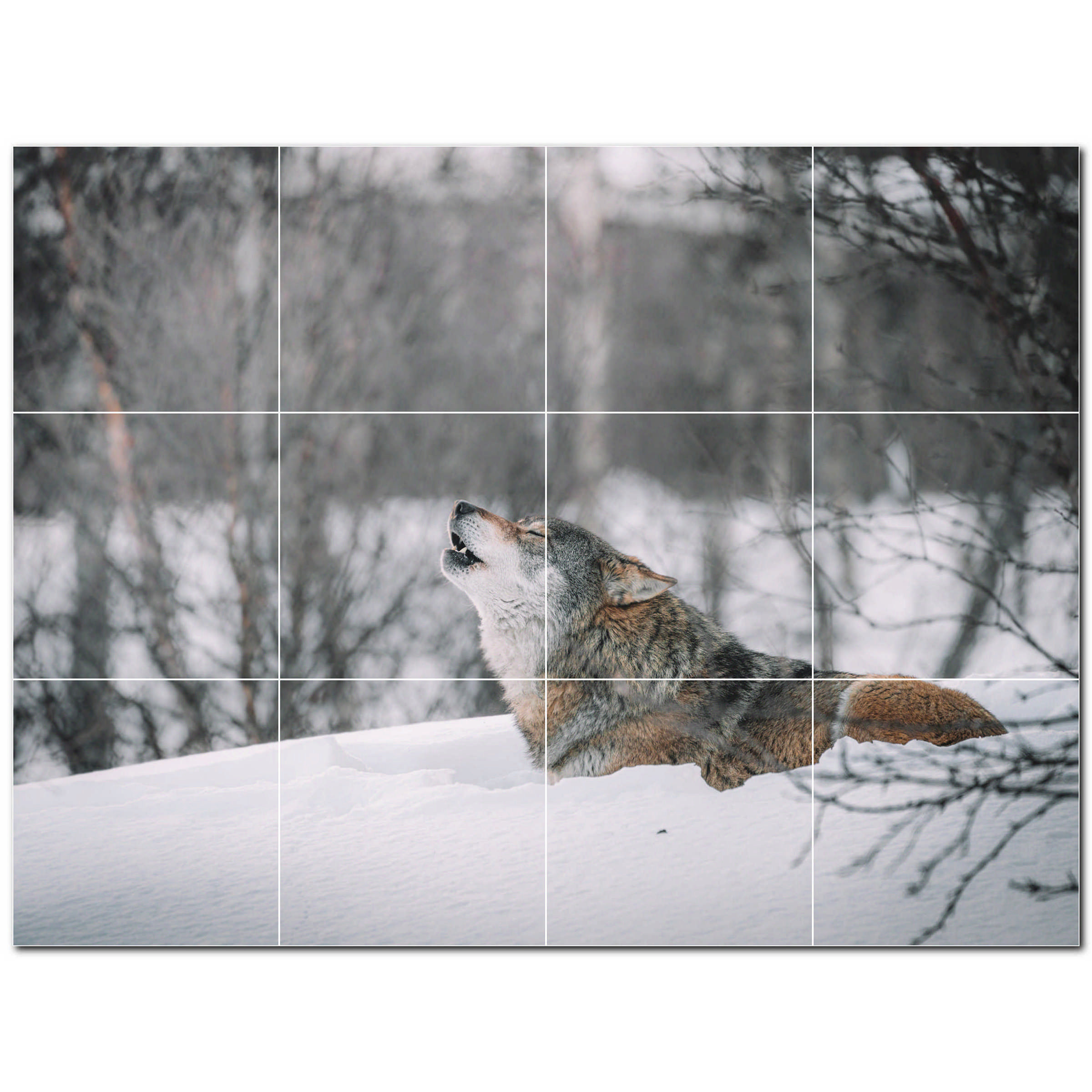 Picture-Tiles.com Wolf Photo 8'' x 8'' Satin Ceramic Decorative Mural ...