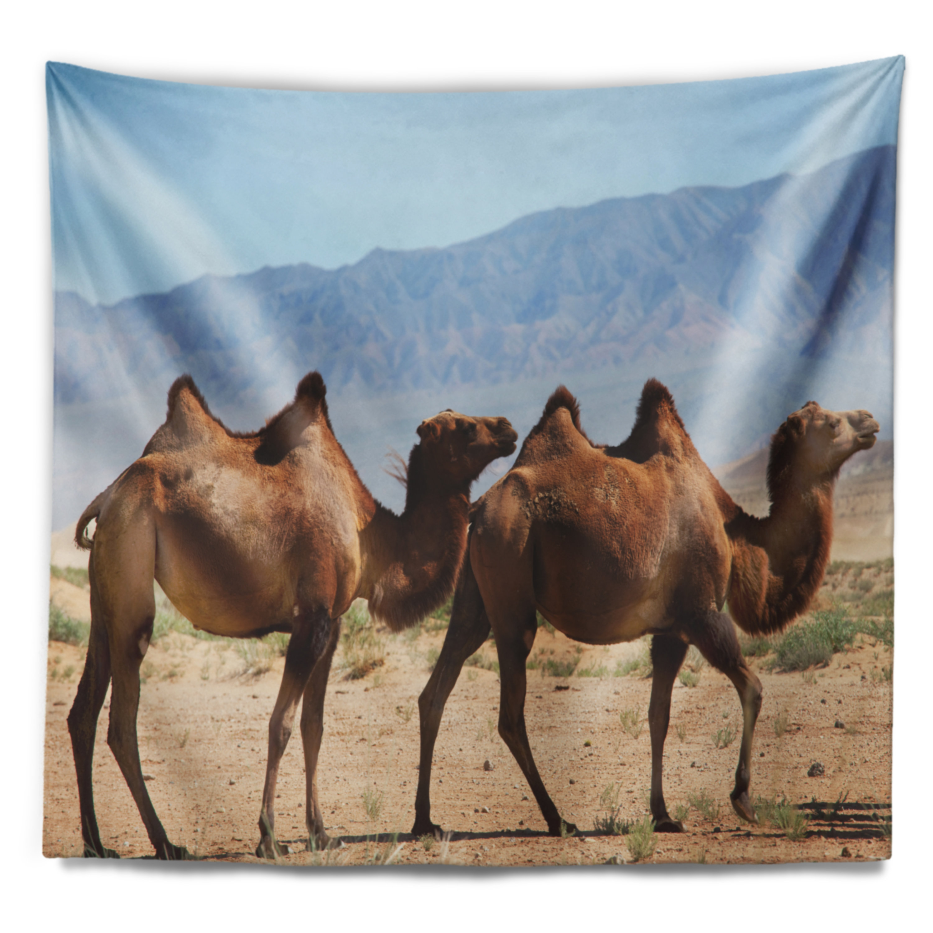 East Urban Home African Huge Camels on Tomb Ruins Tapestry | Wayfair