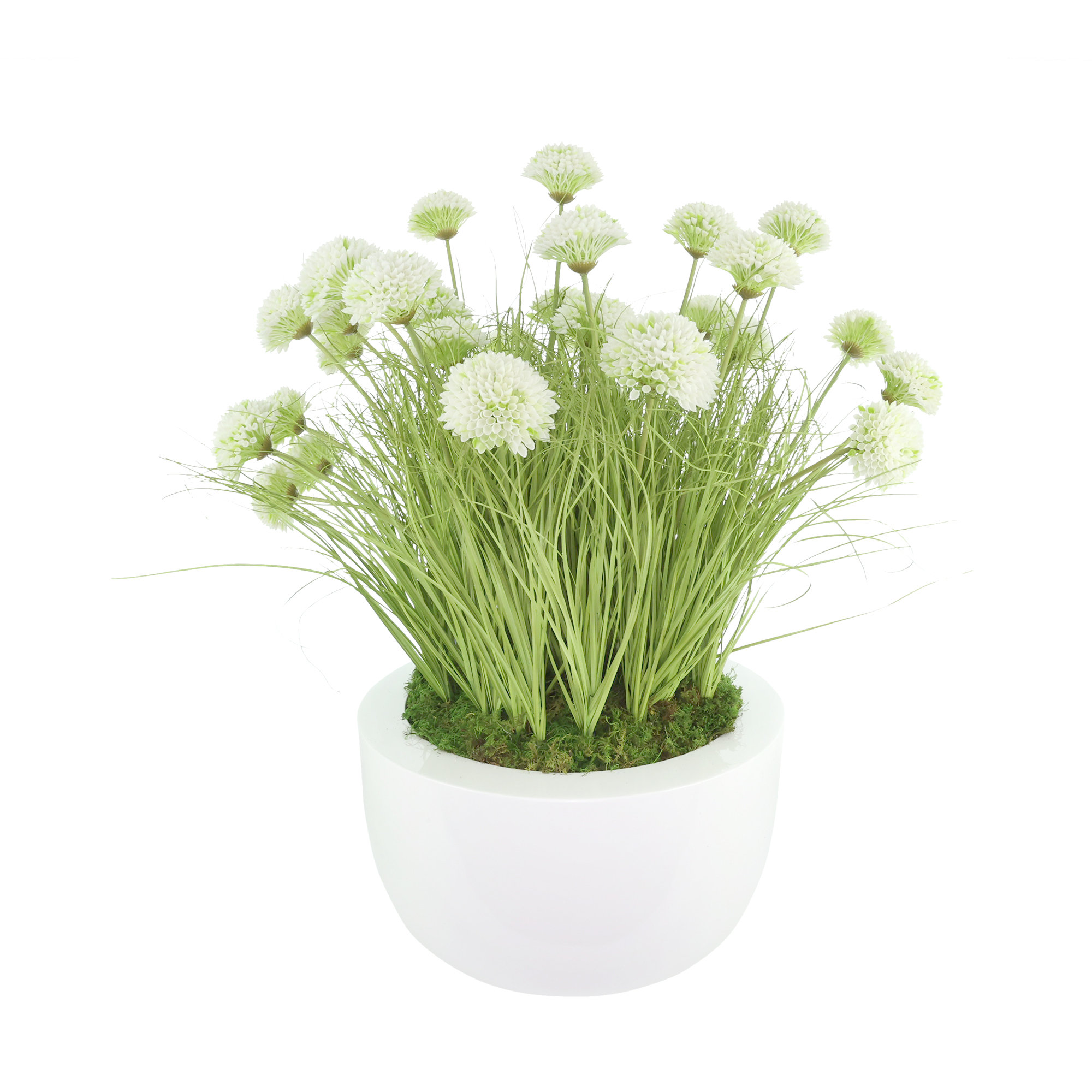 Latitude Run® Dahlias in Round Fiberstone Planter | Wayfair