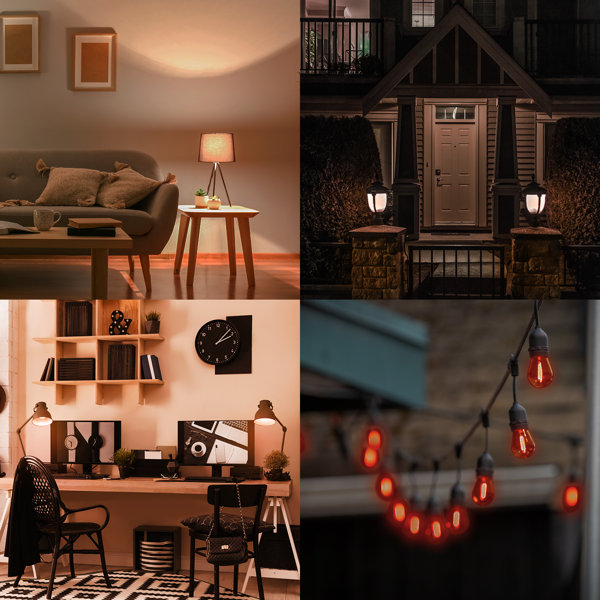 Luxrite 0.5 Watt S14 LED Colored String Light Bulb, E26/Medium ...