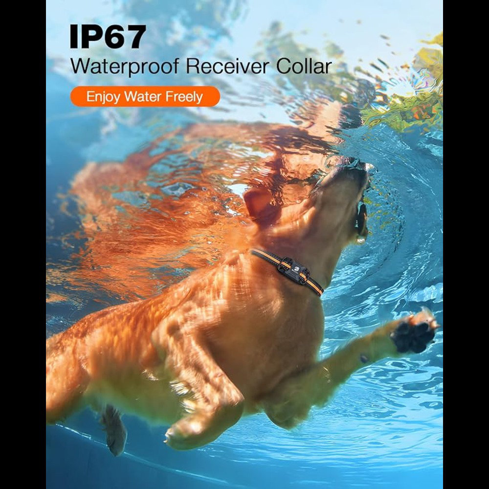 Invenitiah Portable Static Dog Training Collar | Wayfair