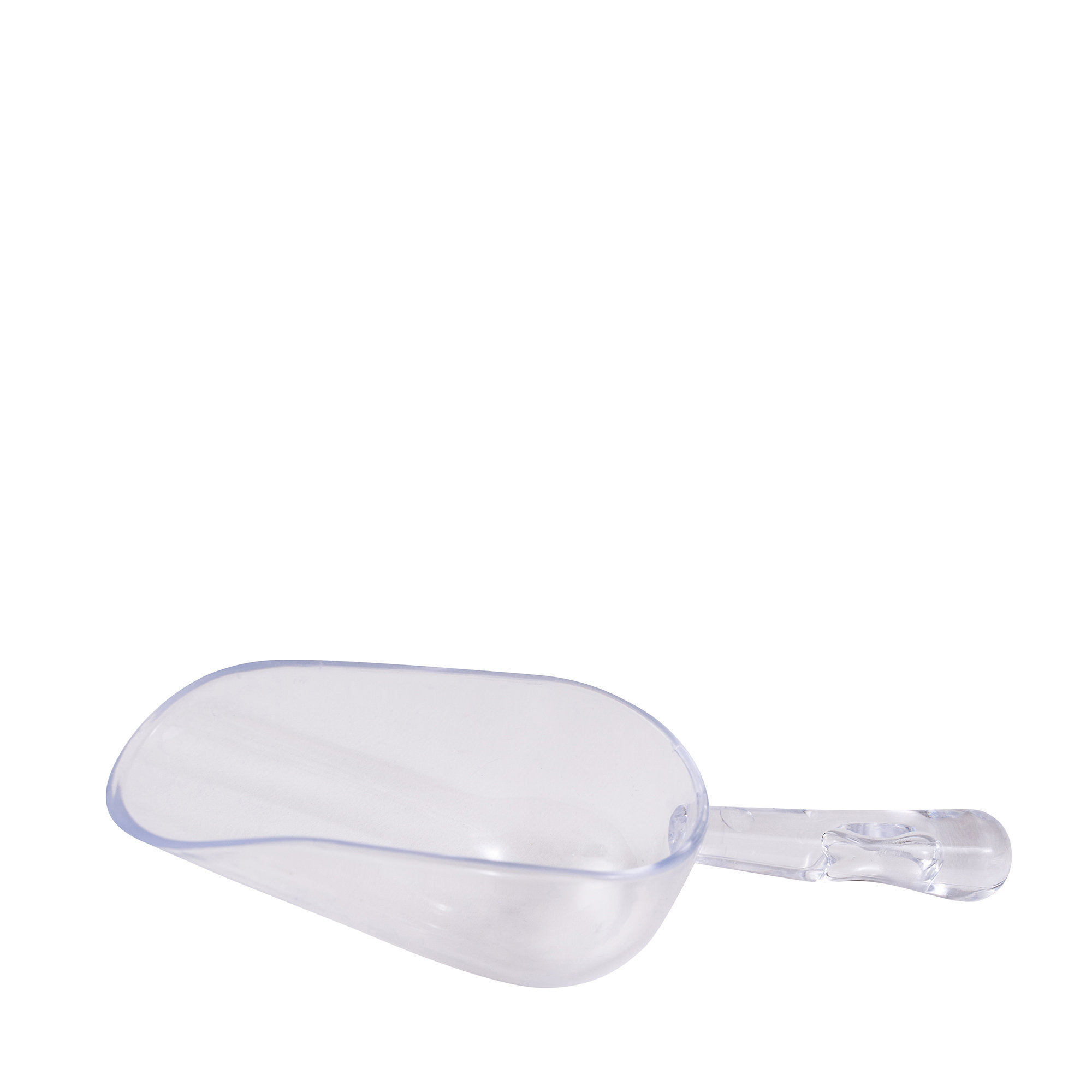 Bala Ceiling Fans Basic Plastic Disposable Candy Scoop - Wayfair Canada