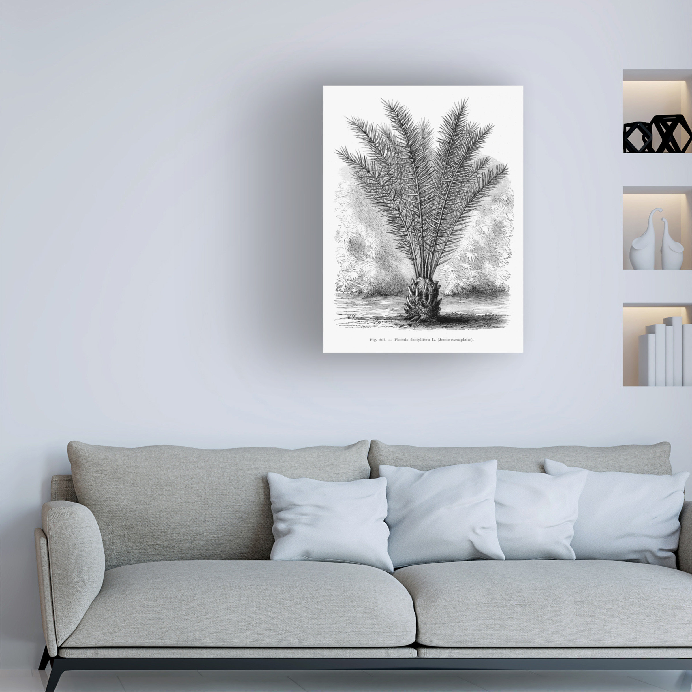 Trademark Fine Art Les Palmiers Histoire Vintage Palm Tree Drawing Xiii ...