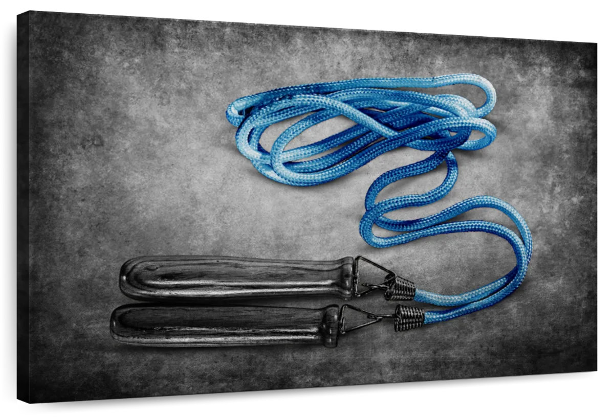 Ebern Designs Sireci Blue Jumping Rope | Wayfair