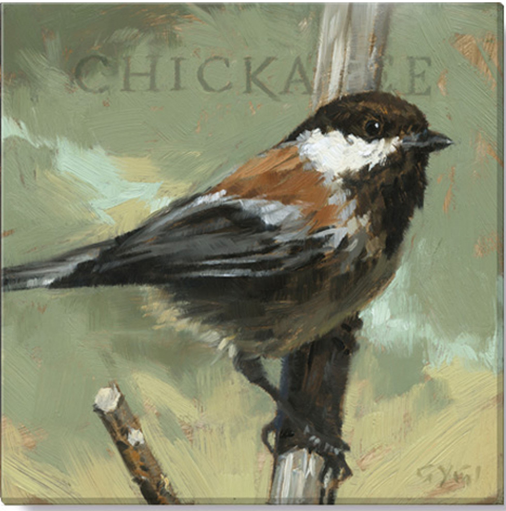 Darren Gygi Home Collection Chickadee Giclee by Darren Gygi - Wrapped ...