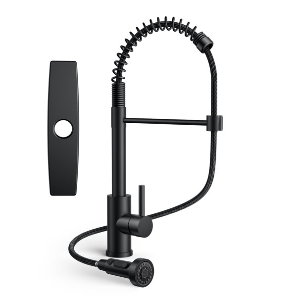 Kitchen Faucets - Wayfair Canada