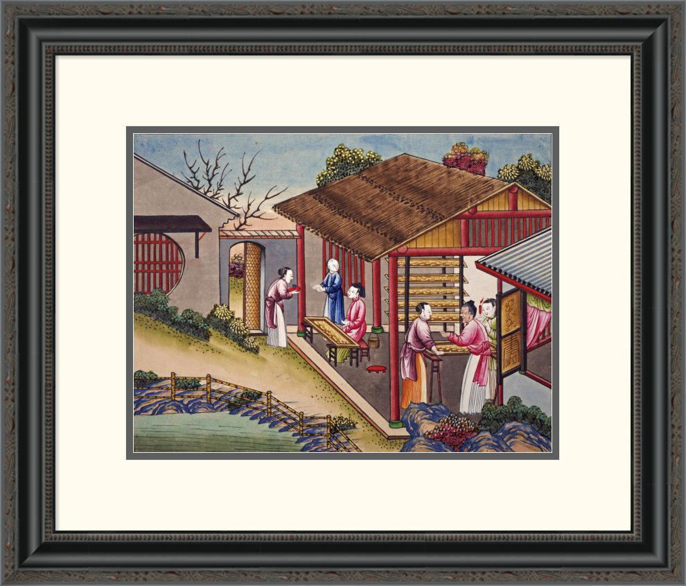 Global Gallery Silk Cocoons Framed Painting Print | Wayfair