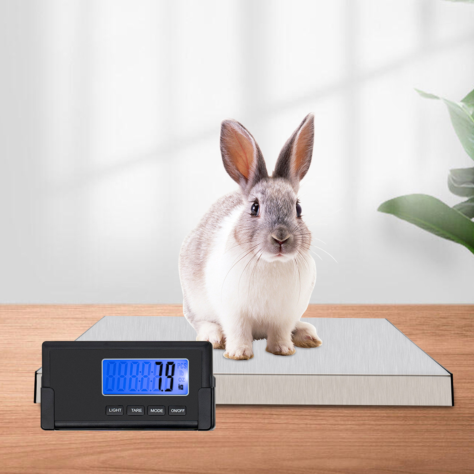 DALELEE Digital Shipping Scale Lightweight Scale Cordless Separated ...