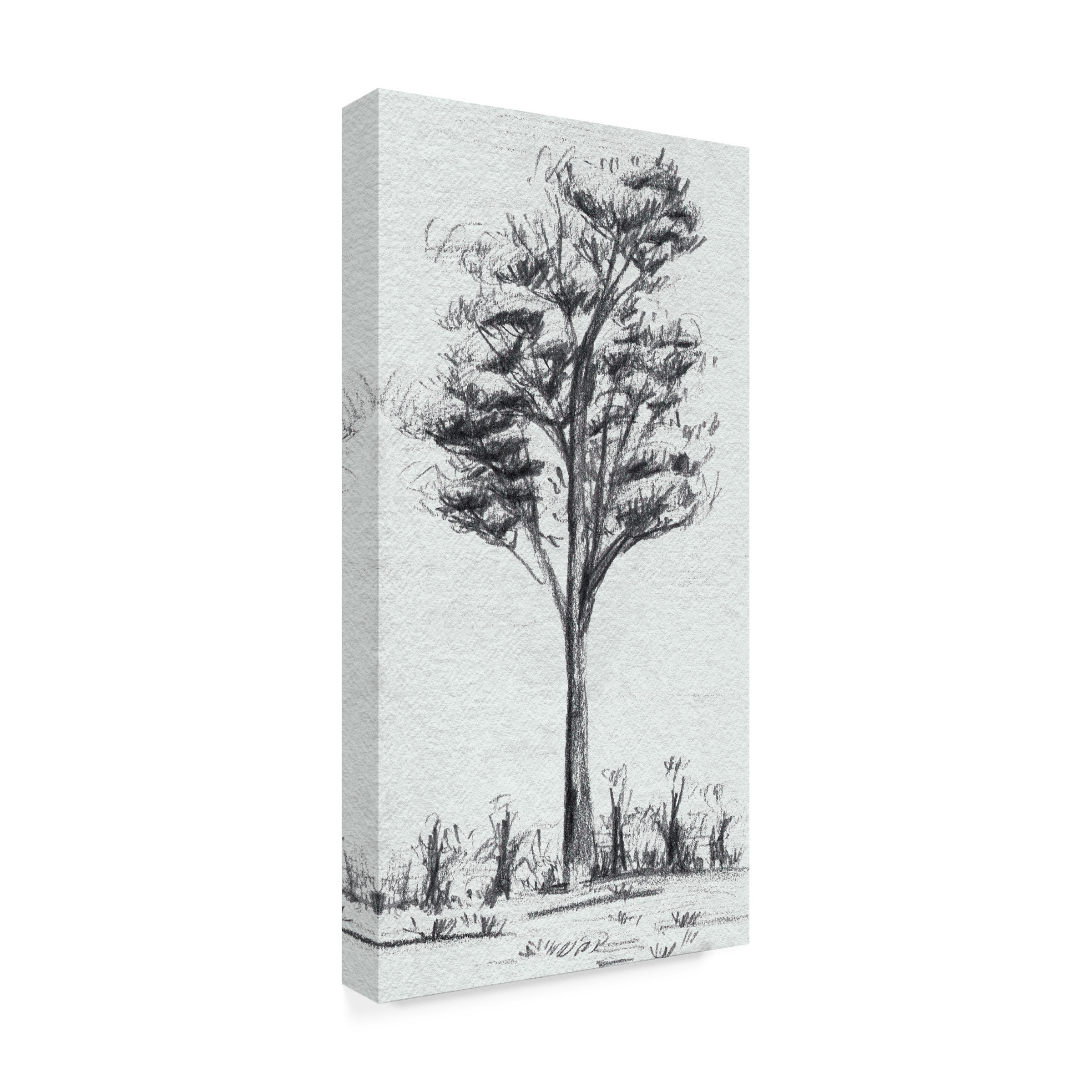 Winston Porter Melissa Wang Tree In The Woods III Canvas Art - Wayfair ...