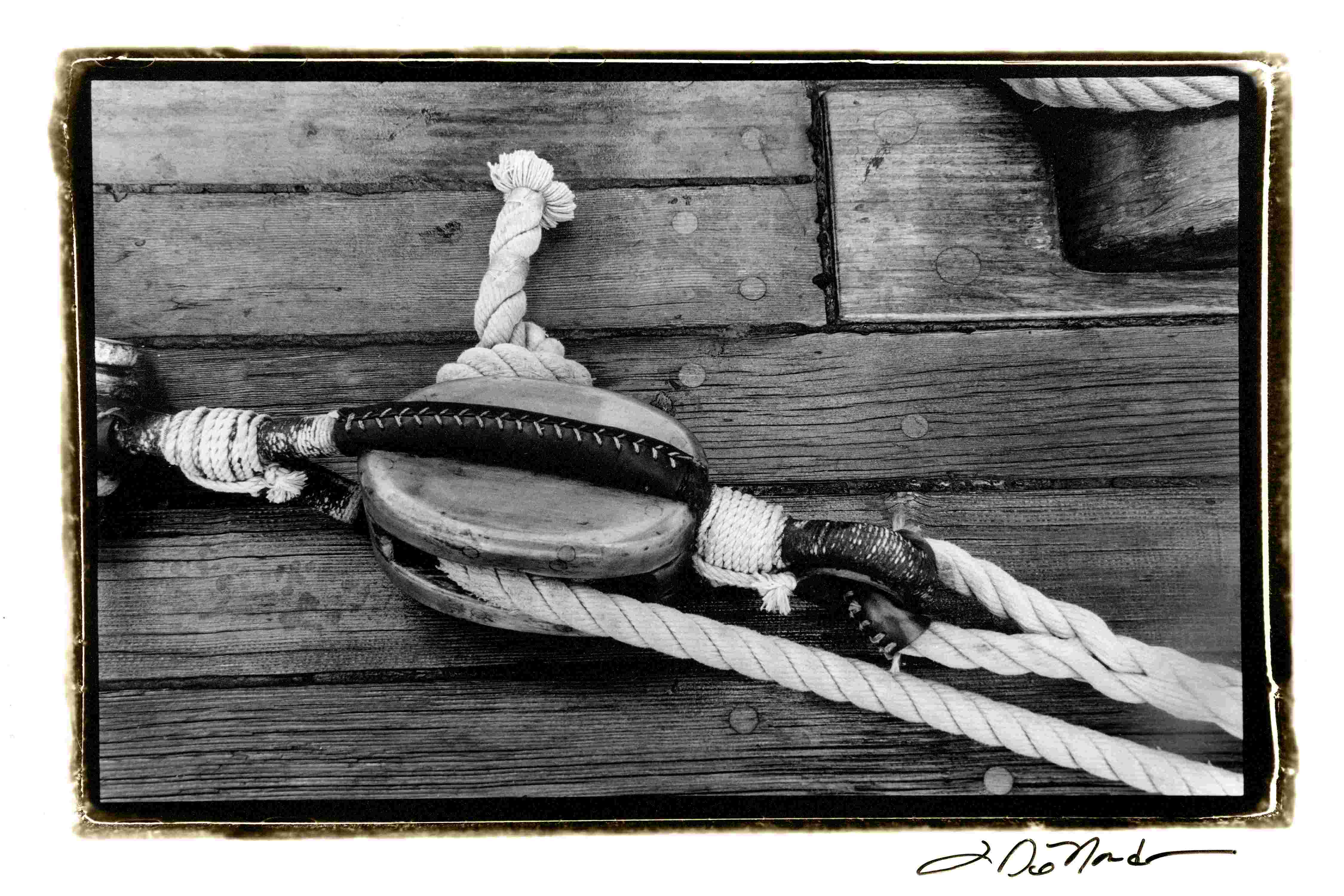 Longshore Tides Ship Shape V | Wayfair