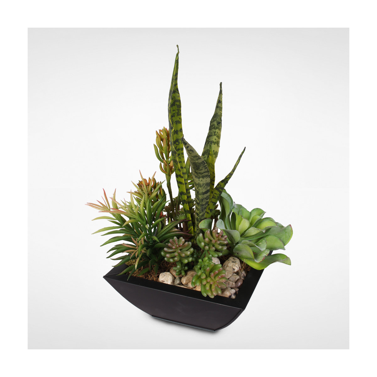 Jenny Silks Desktop Blooming Succulent Arrangement with Pebbles Plant ...